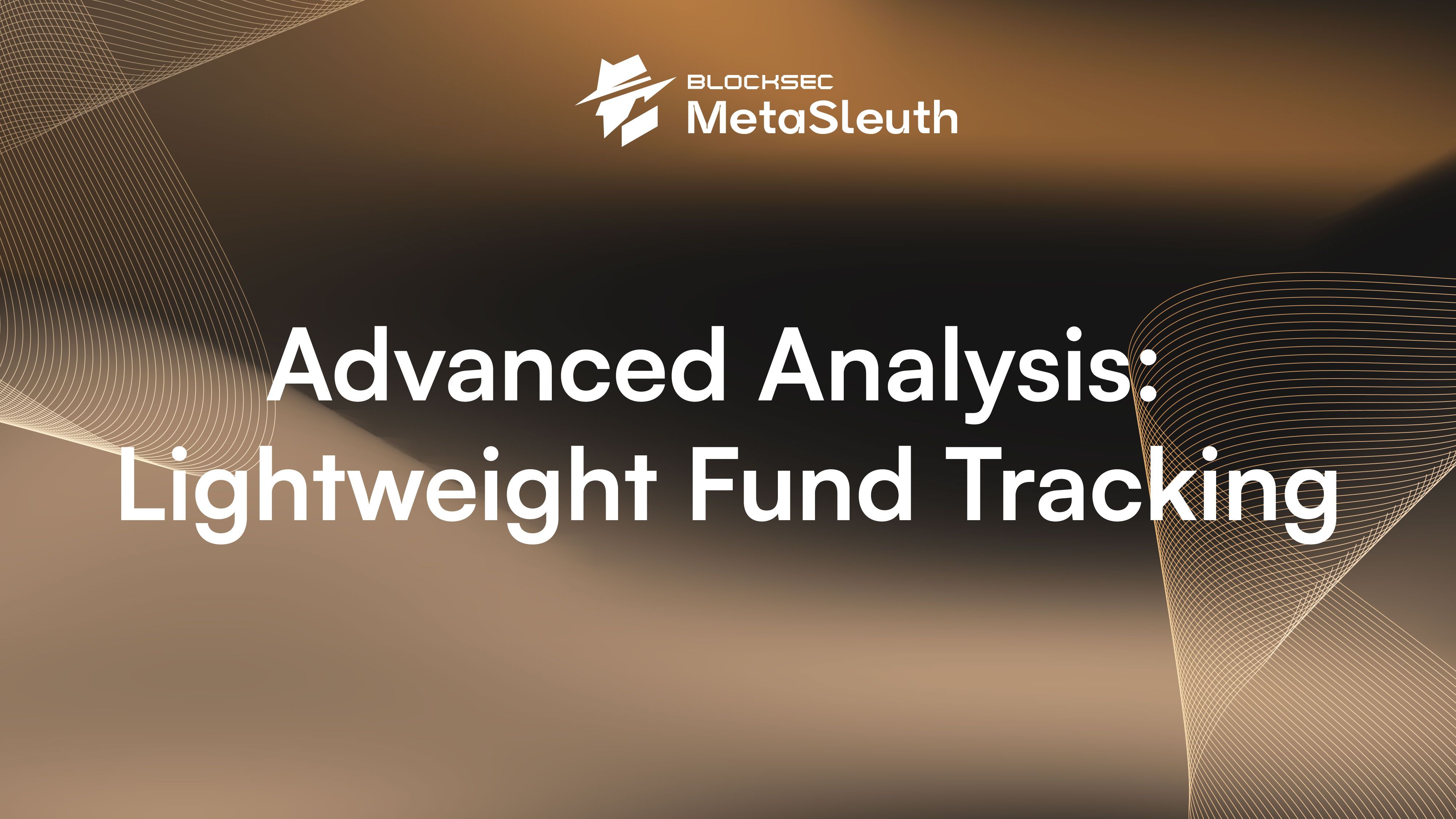 Advanced Analysis: Lightweight Fund Tracking | MetaSleuth Blog